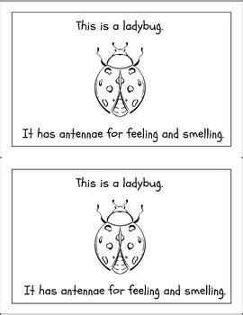 Image result for My First Insect Book