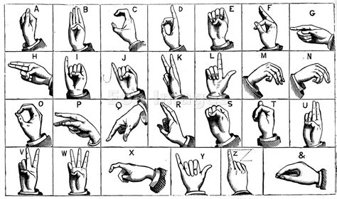 Image result for Sign Language Manual Alphabet
