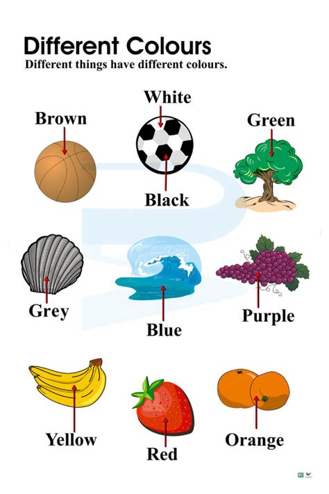 Image result for All Types of Colours