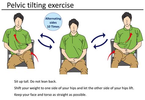 Image result for Trunk Bender Exercise