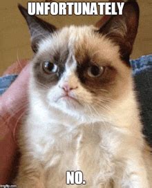 Grumpy Cat No Memes GIFs | Tenor