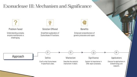 Image result for Exonuclease Function