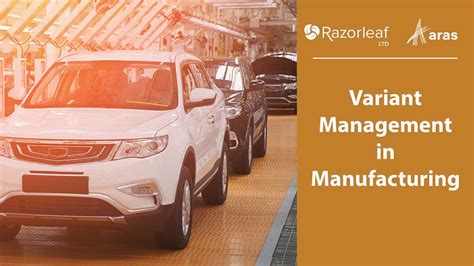 Image result for Variant Management SW Development