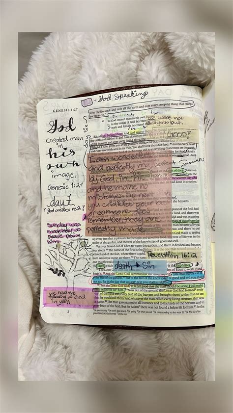 Image result for Genesis Chapter 2 Worksheet