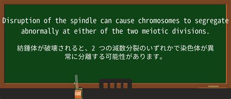 Image result for Segregate Meaning