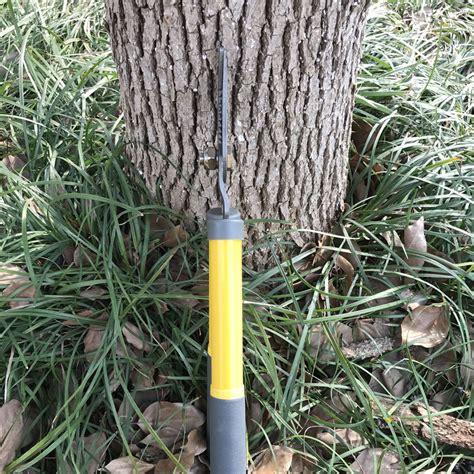 Image result for Tree Lopper Lift