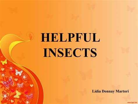 Image result for Insects Lessons