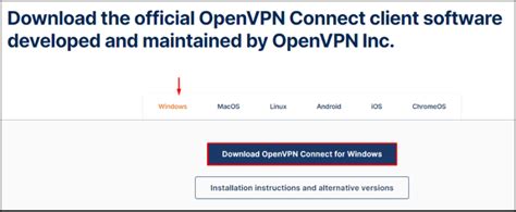 Image result for How to Install OpenVPN GUI