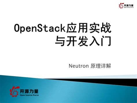 Image result for OpenStack Neutron Icon