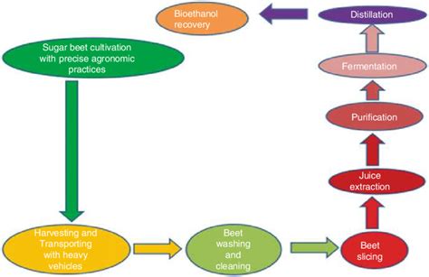 Image result for Bioethanol From Sugar Processing