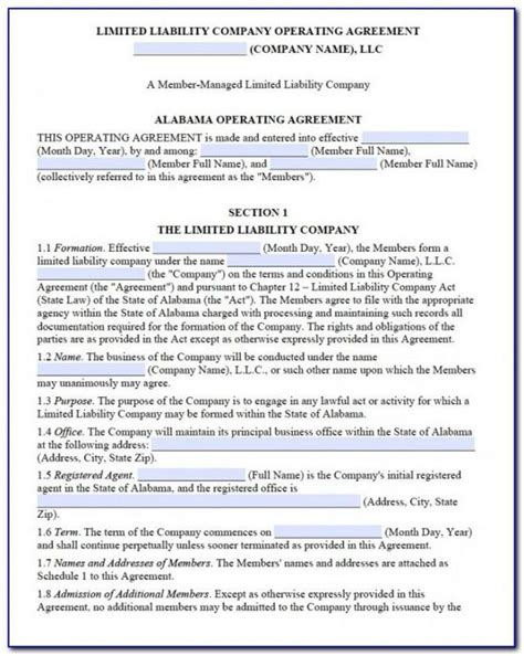 Image result for Single Member LLC Operating Agreement Sample