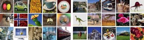 Image result for Image Net Dataset Image Examples