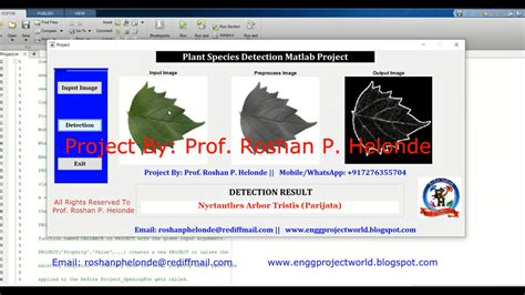 Image result for Seed Recognisition in Java Project