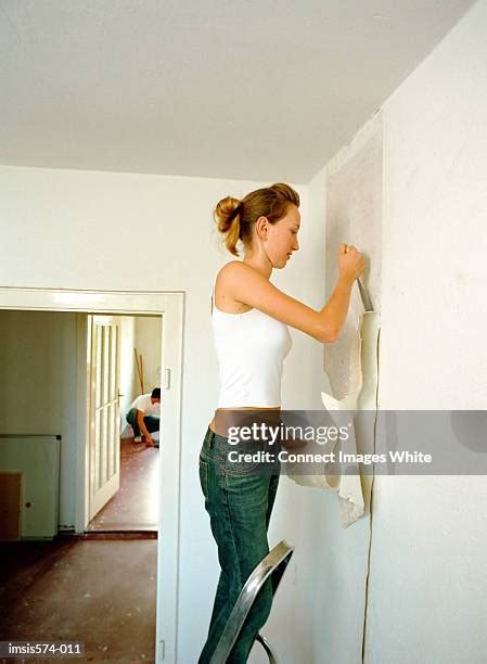 Image result for Portable House Scraper