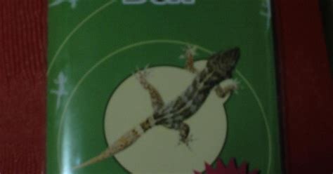 Image result for Go Lizard Trap