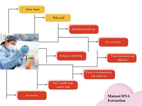 Image result for Manual Extraction