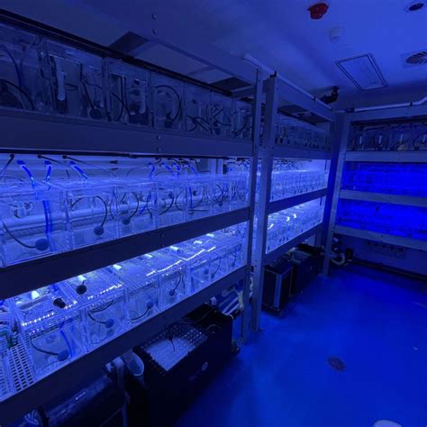 Image result for Rack System