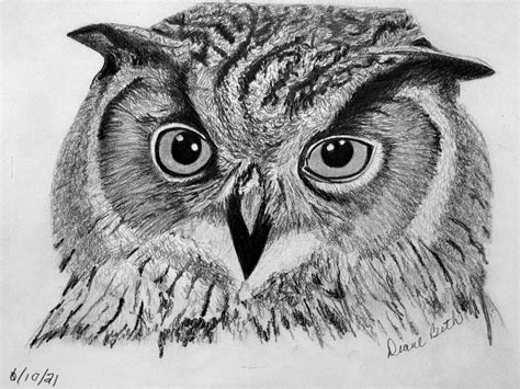 Image result for Graphite Drawing of Owl