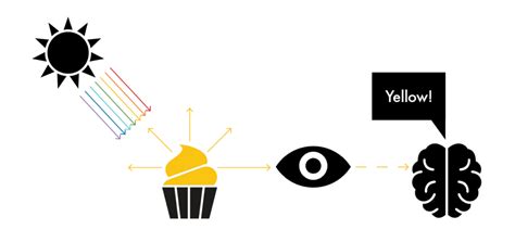 Image result for First Time Seeing Color