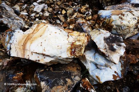 Image result for Agate Hunting Tips