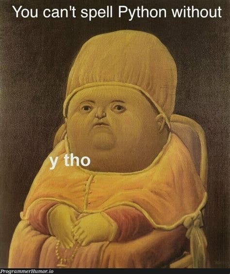 Image result for Python Phonk Meme