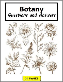 Image result for 12th Botany Book Back Answers