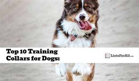 Image result for Best Training Collars for Dogs