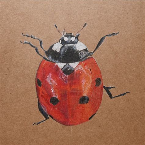 Image result for Ladybug Pencil Color