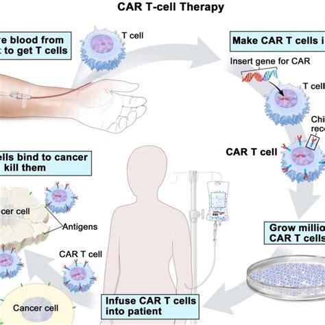 Image result for T-cell Reprogramming
