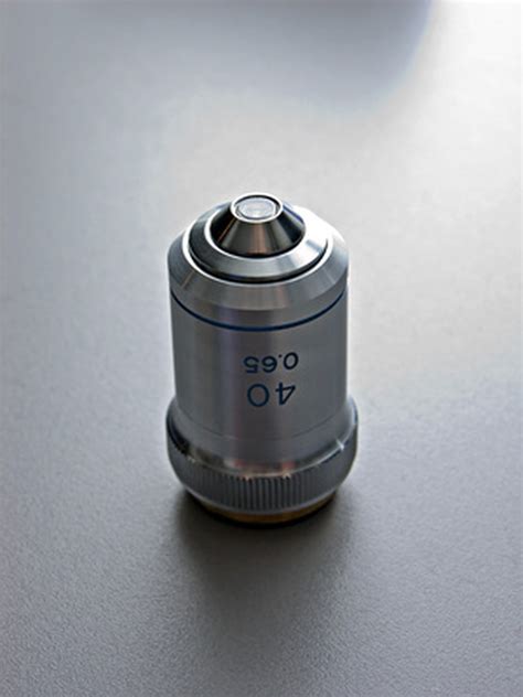 Image result for Light Microscope Magnification