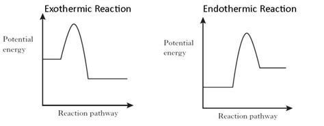 Image result for Exothermic Reaction Energy Graph