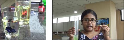 Image result for Food Lab Activity