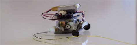 Image result for Gecko Technology