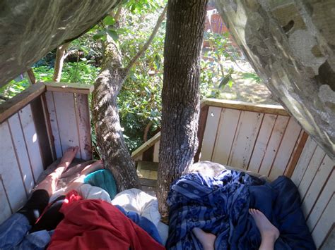 Image result for Step by Step How to Build a Treehouse