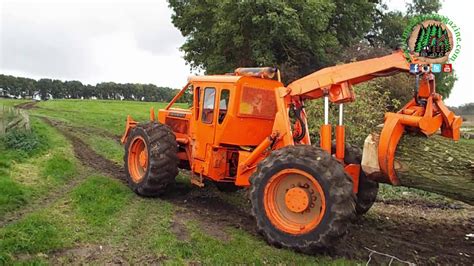 Image result for Timberjack Reviews