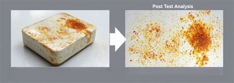 Image result for Salt Spray Test Method