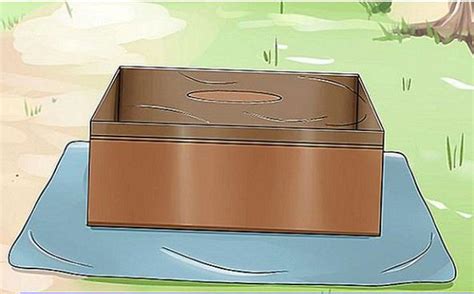 Image result for Easy Homemade Lizard Traps