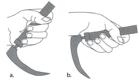 Image result for Intubation Steps