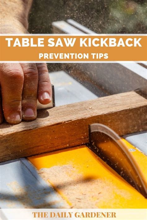 Image result for Table Saw KickBack