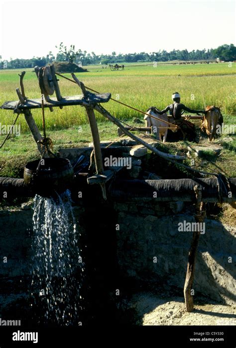 Image result for Traditional Methods of Irrigation Class 8