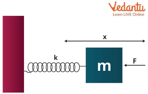 Image result for SHM in Vertical Spring