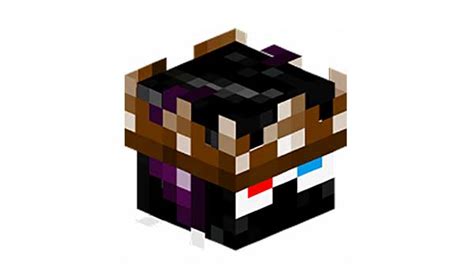 Image result for Minecraft Curios Showcase