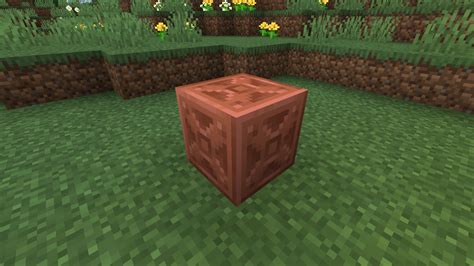 Image result for Copper Path Minecraft