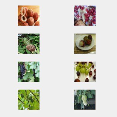 Image result for ImageNet Dataset