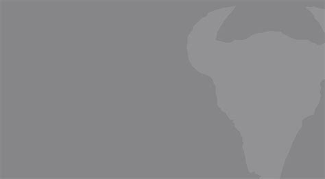 Image result for Process Display Background