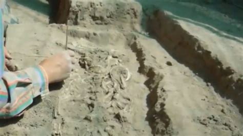 Image result for Alien Head Found