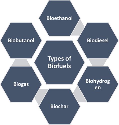 Image result for Biofuel Types