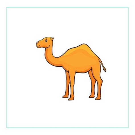 Image result for Camel Drawing Tutorial