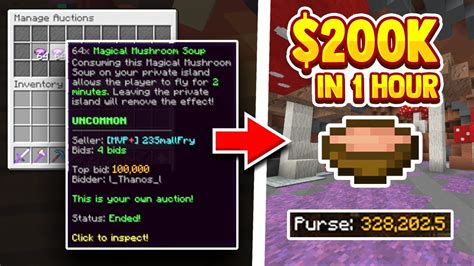Image result for Fastest Money Making Method Hypixel Skyblock