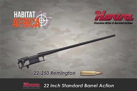 Image result for Howa 22